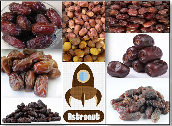 Dates and varieties in Iran