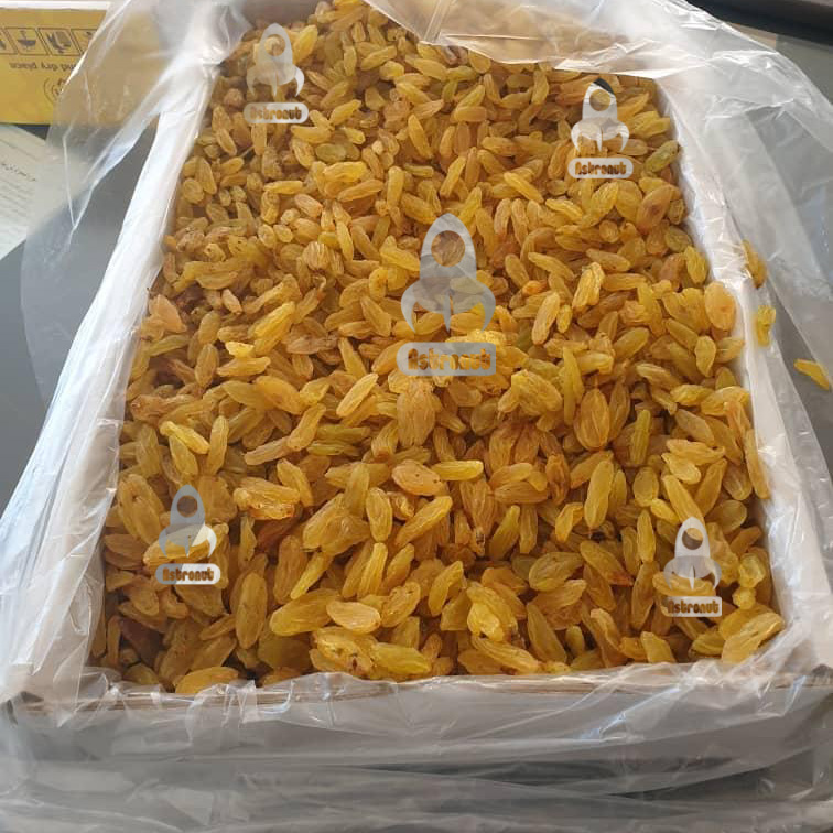 Golden Kashmar Raisins