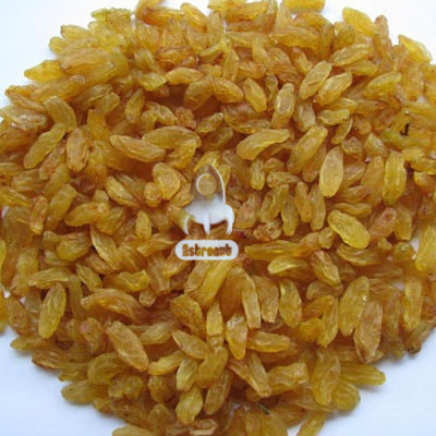Golden Kashmar Raisins