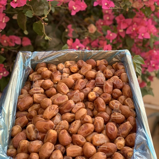 Zahedi Dates